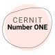 Cernit Polymer Clay NUMBER ONE 56g - Shades of Clay